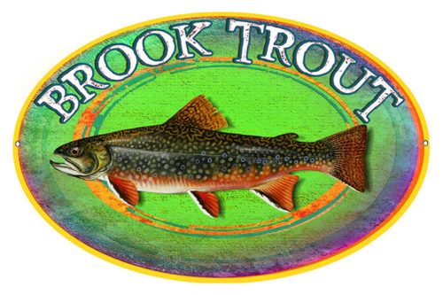 Brook Trout By Artist Phil Hamilton Reproduction 11x18 - Reproduction ...